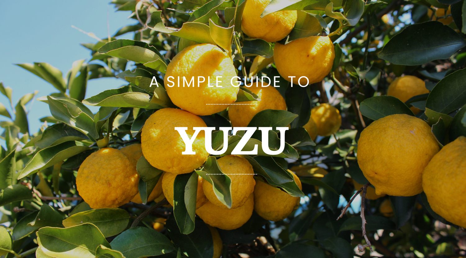 What is Yuzu? – Yu Taie